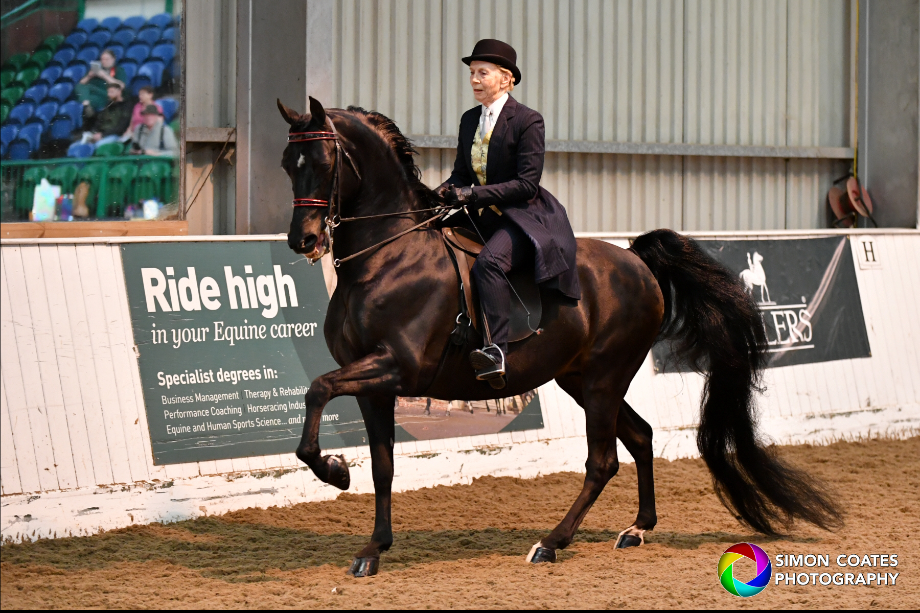 American Saddlebred May Festival 2019 | Event Photography in ...
